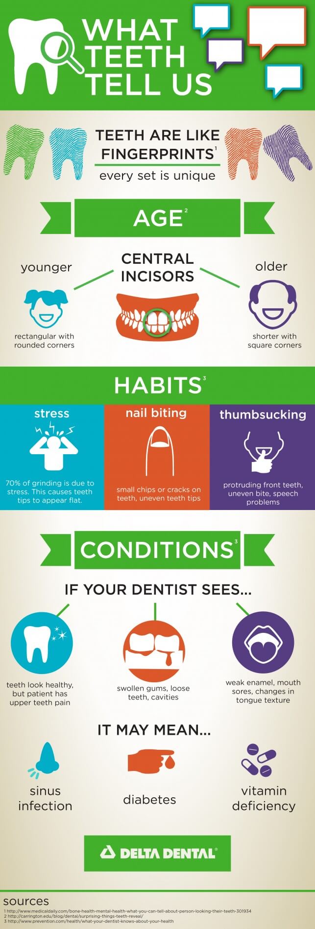 What Teeth Tell Us [INFOGRAPHIC]